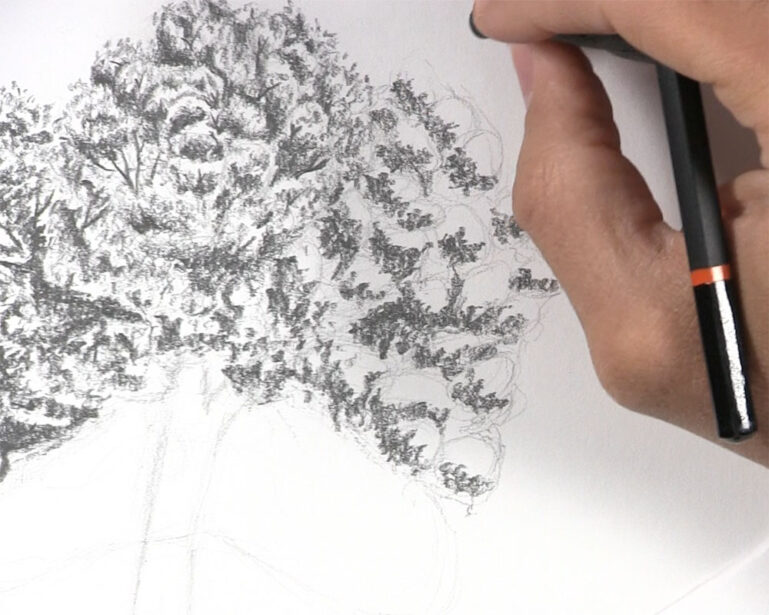 How to Draw a Tree with Leaves - Let's Draw Today