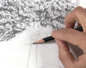 How to Draw a Tree with Leaves - Let's Draw Today