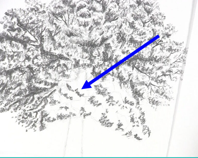 How to Draw a Tree with Leaves - Let's Draw Today