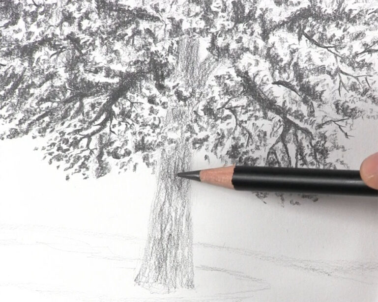 How to Draw a Tree with Leaves - Let's Draw Today