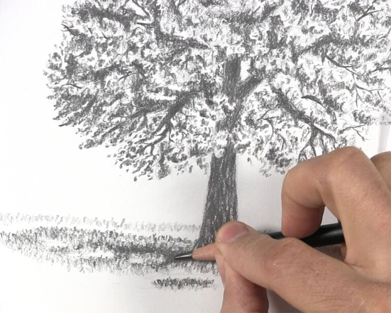 How to Draw a Tree with Leaves - Let's Draw Today