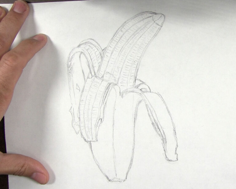 How to Draw a Peeled Banana - Let's Draw Today