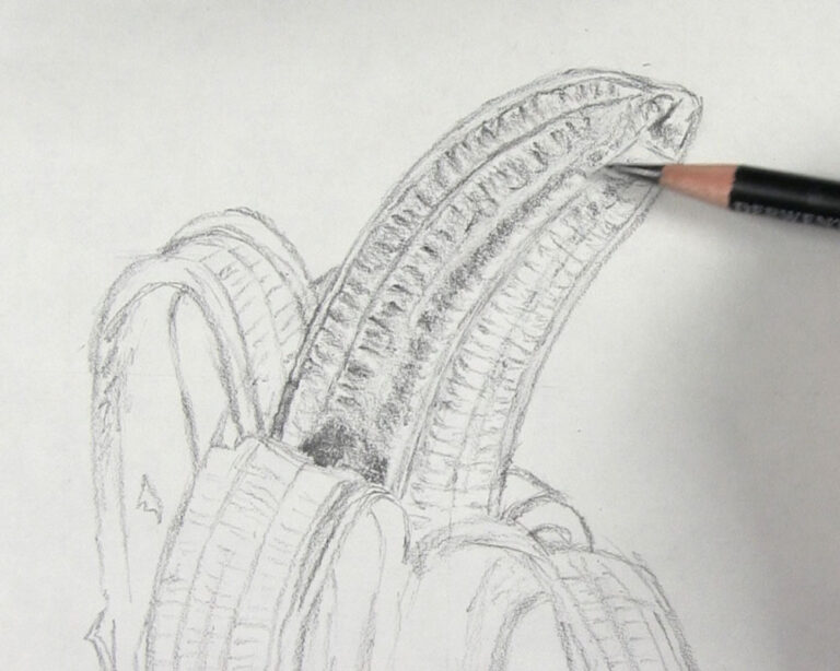 How to Draw a Peeled Banana - Let's Draw Today