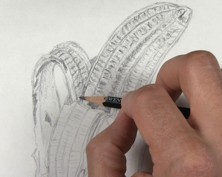 How to Draw a Peeled Banana - Let's Draw Today