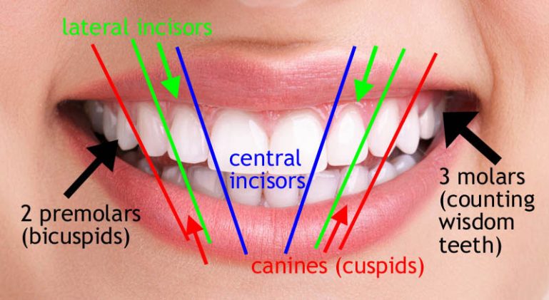 How to Sketch Lips and Teeth Better - Let's Draw Today
